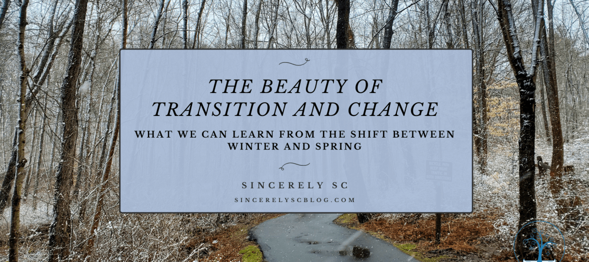 The Beauty of Transition and Change – Sincerely SC
