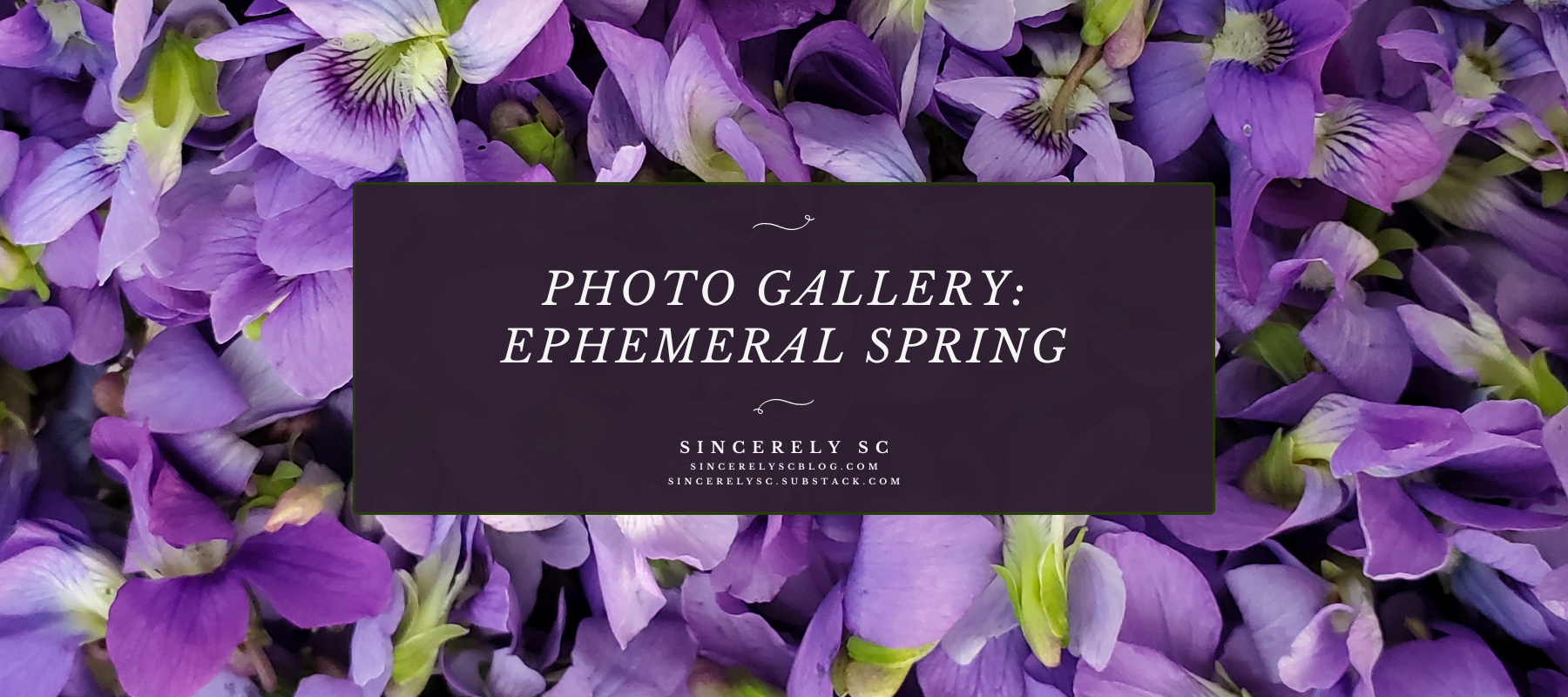 Photo Gallery: Ephemeral Spring – Sincerely SC